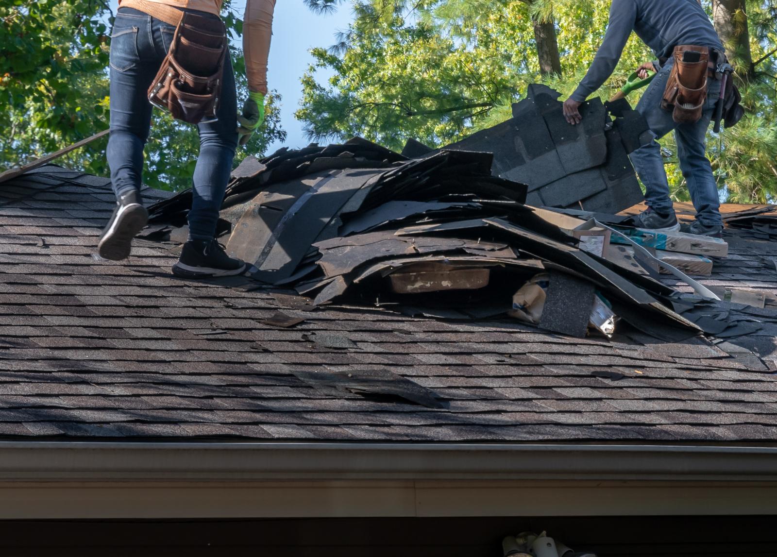 Why Choose Quick Storm Damage Cleanup Methods? | Gulf Coast Mold ...